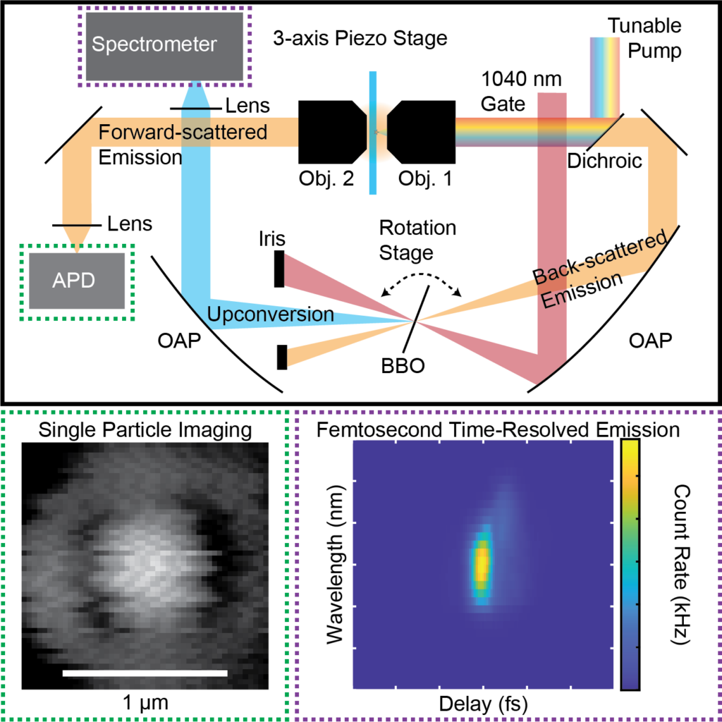 Research – Lee Research Group